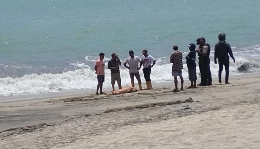 Aún no se conoce la identidad de la mujer encontrada muerta en Capaes ...